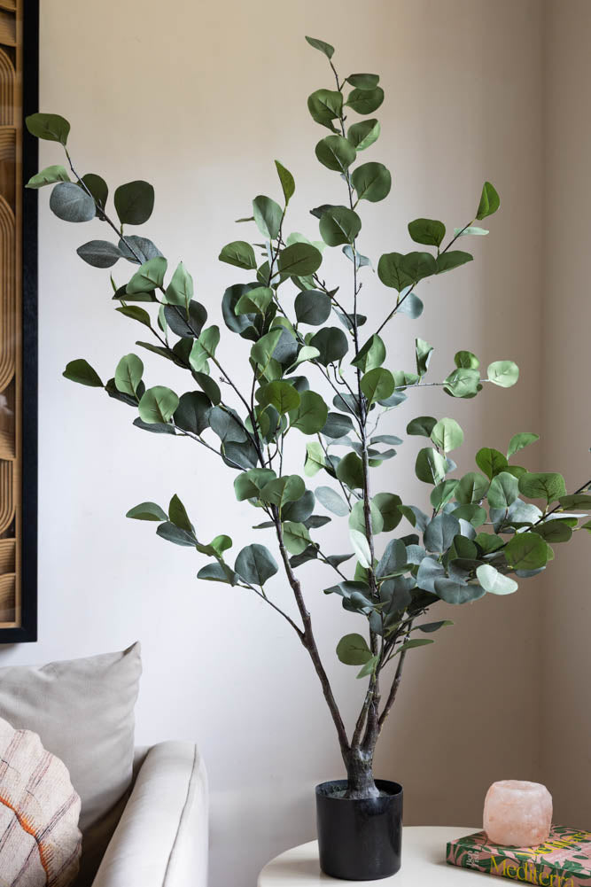 Large Potted Faux Eucalyptus Plant | Rockett St George