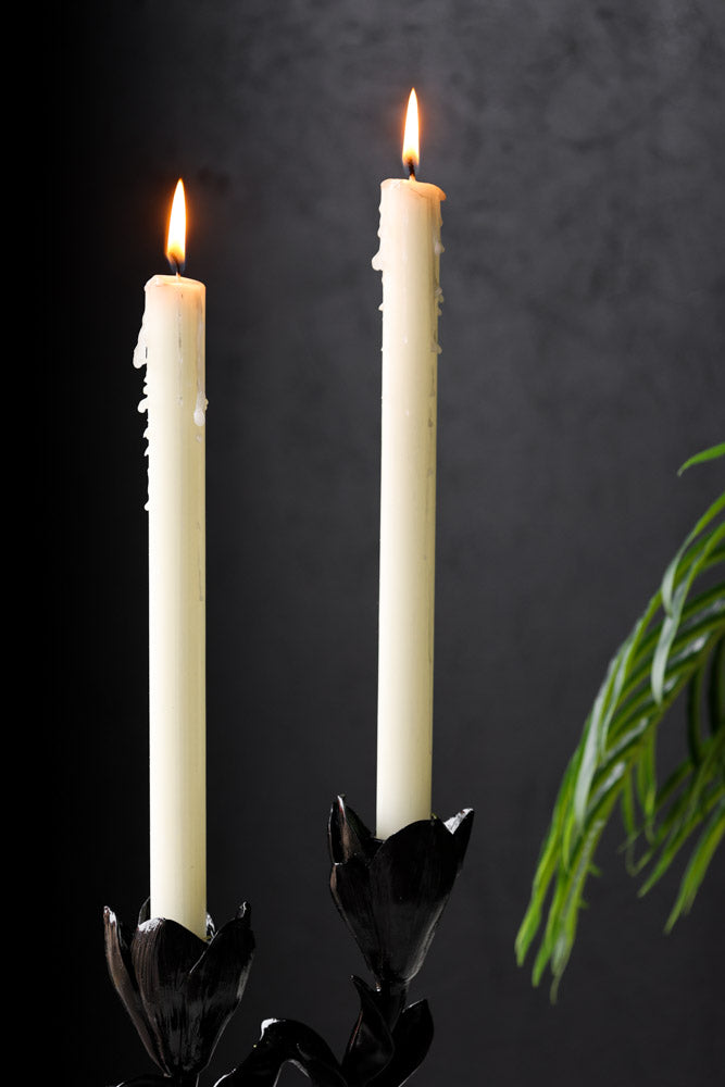 Beautiful Dinner Candle - Ivory | Rockett St George | Rockett St George