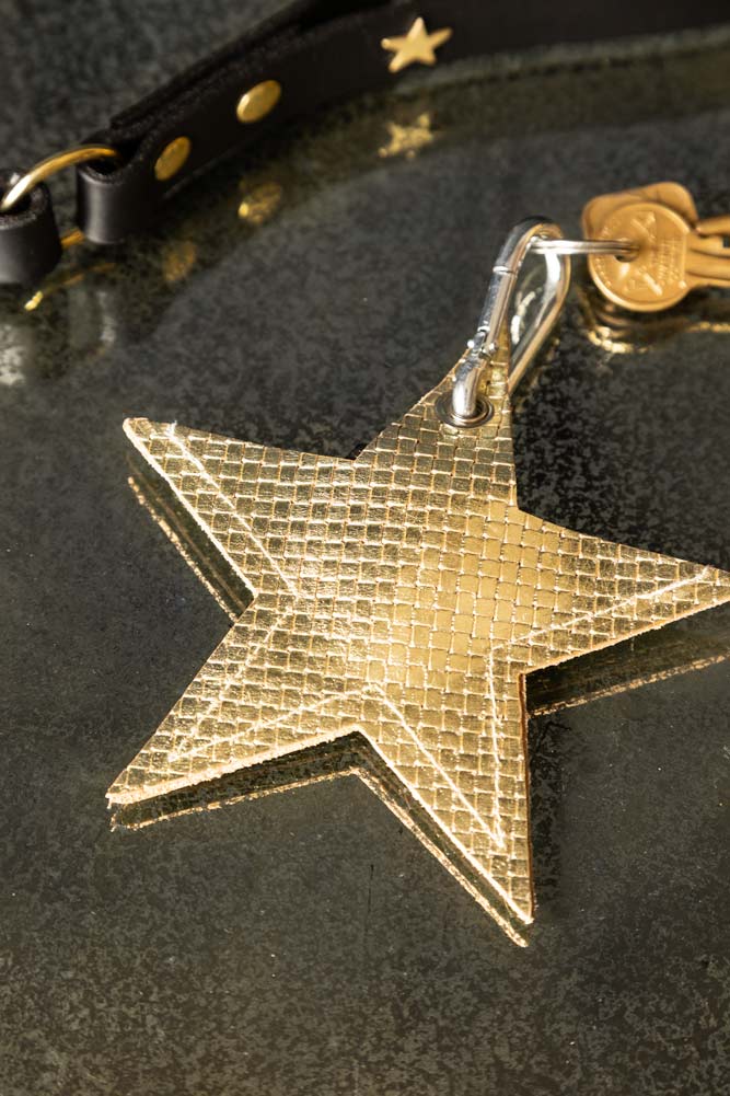 Gold Star Dog Poo Bag Pouch | Rockett St George