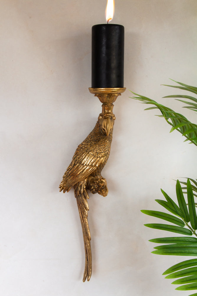 Golden Macaw Parrot Candle Holder | Rockett St George