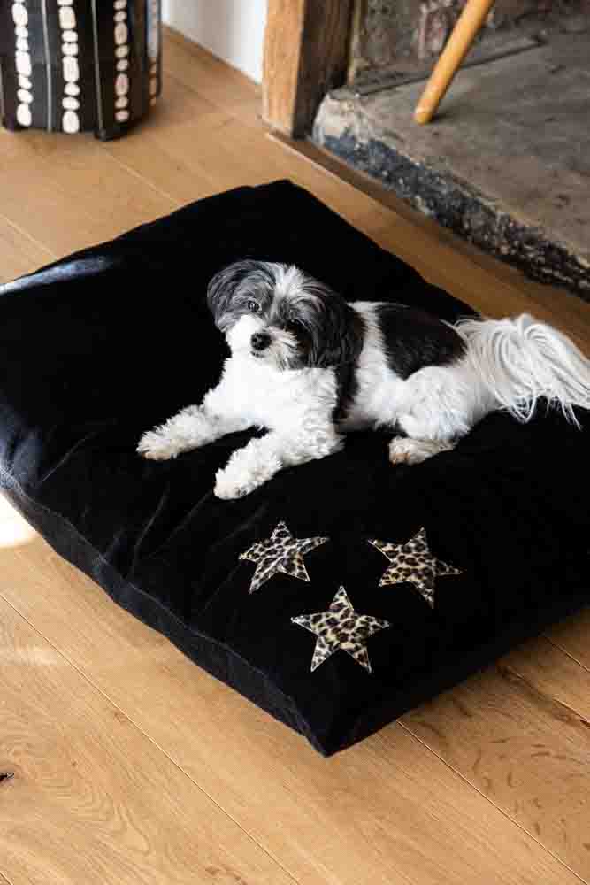 Leopard Stars Dog Bed - 3 Available Sizes | Rockett St George